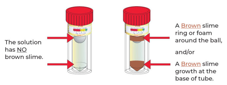 Iron Bacteria Test Kit - Laval Underground Surveys
